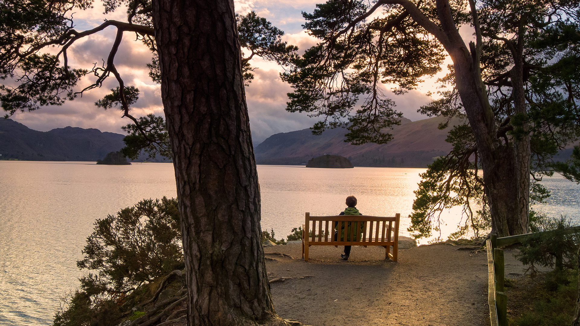 A guide to Wills and bequests | Progeny