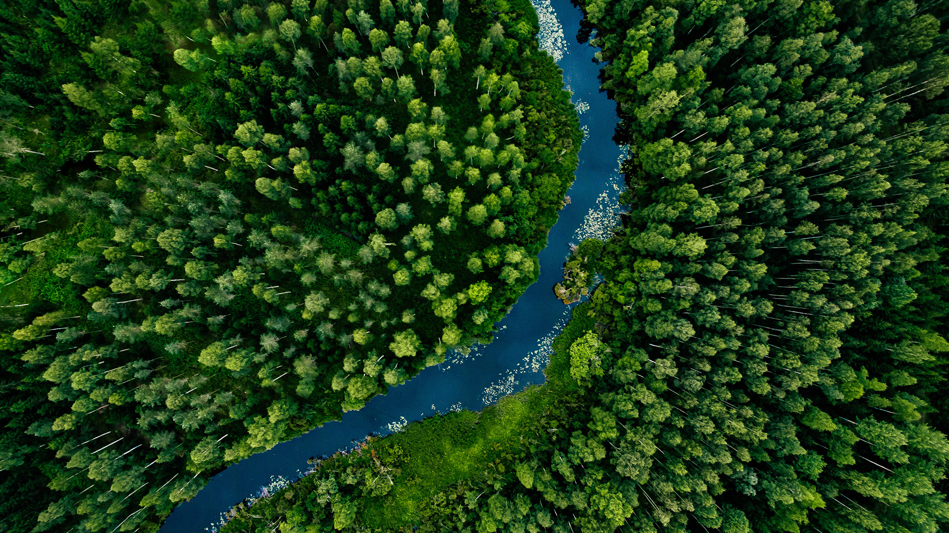 How to make a positive environmental impact with your business | Progeny