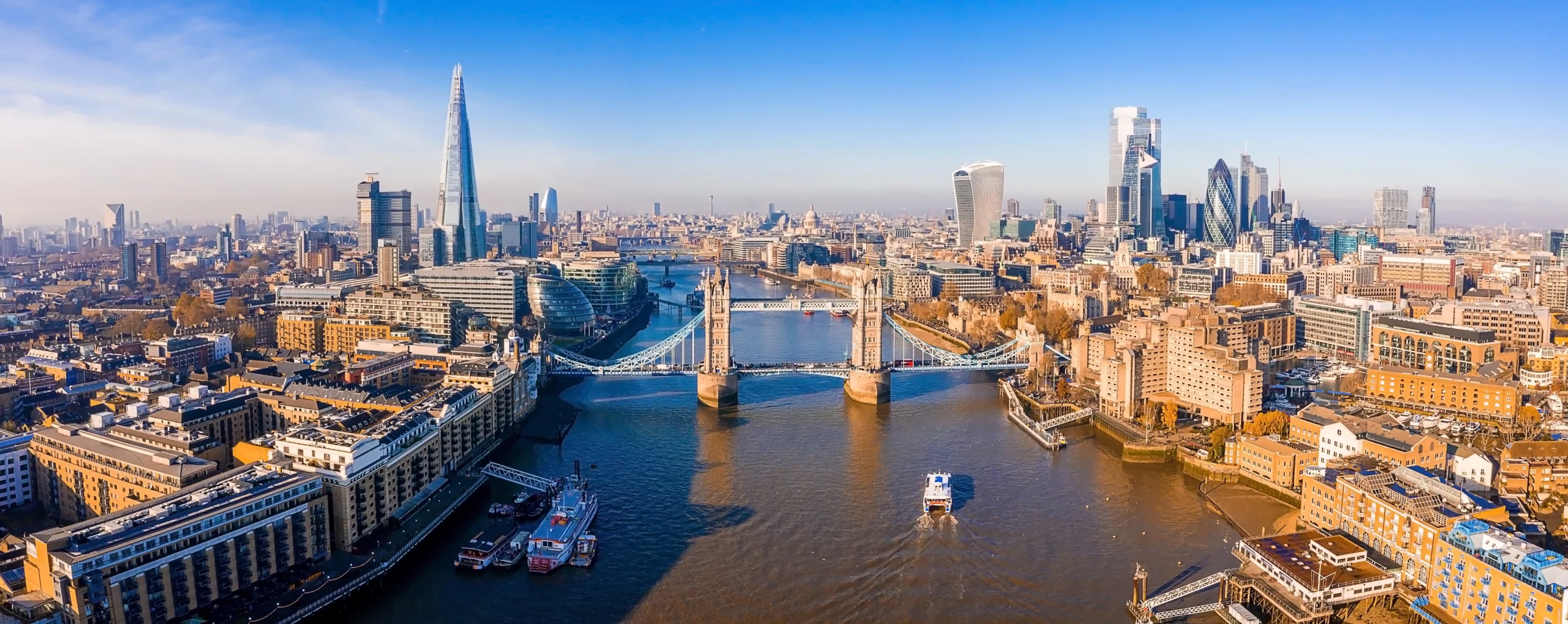 Financial Advisers In London | Progeny