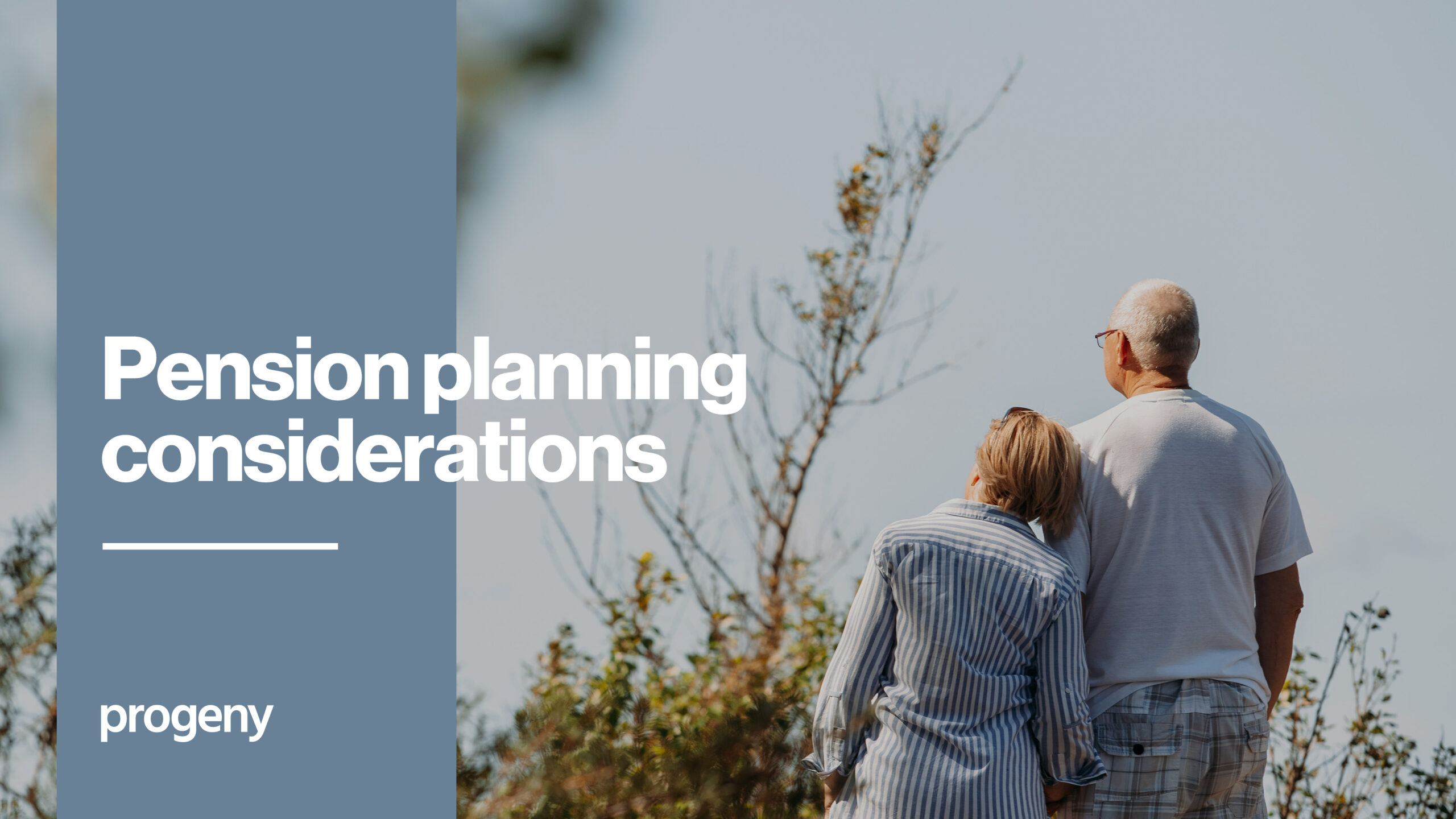 Pension planning considerations | Progeny